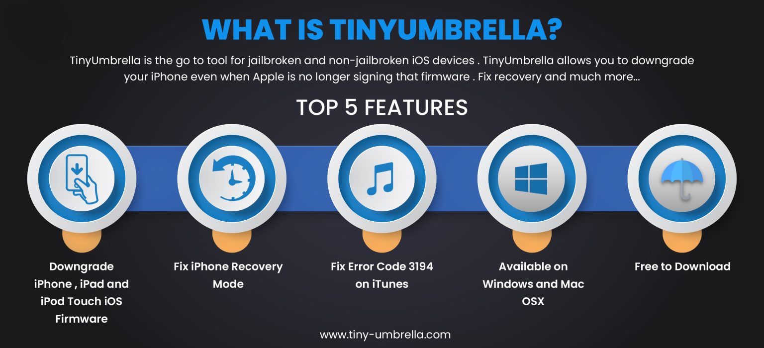 TinyUmbrella App Download ( Windows )